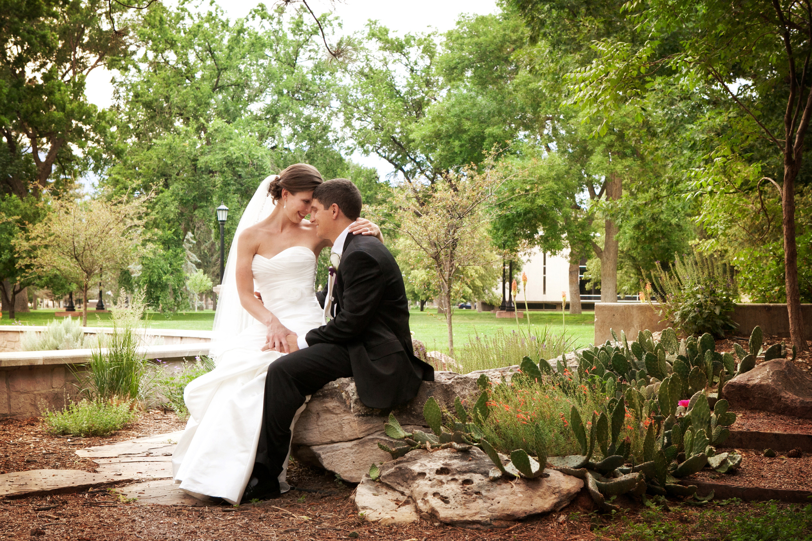 Home - Kristina Lynn Photography & Design