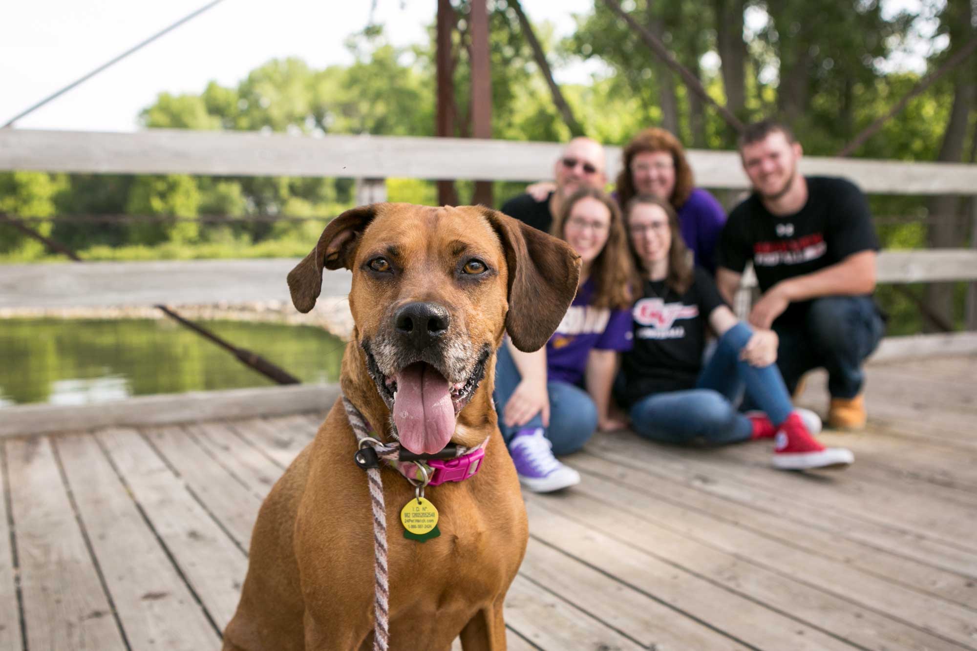 LBC-Bold-DETAILS-Hero-Dog-Photography - Kristina Lynn Photography & Design